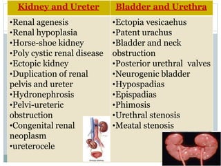 CONGENITAL GENITO URINARY DISORDERS.pptx