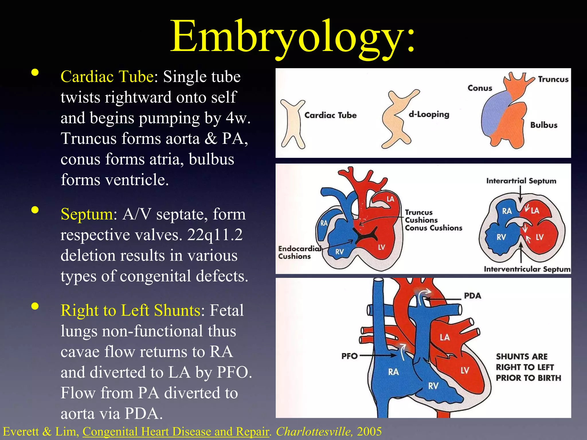 Congenital Heart Defects | PPTX