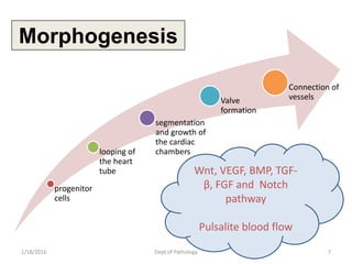 Congenital heart disease | PPT