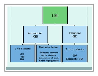 Congenital heart disease (CHD) | PPT