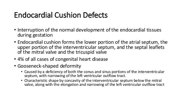 Partial Endocardial Cushion Defect
