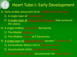 Congenital heartdiseasekazucardioembryology | PPTX | Heart and ...