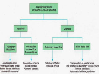 Congenital Heart Disease Classification