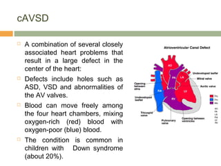 Congenital heart diseases | PPT