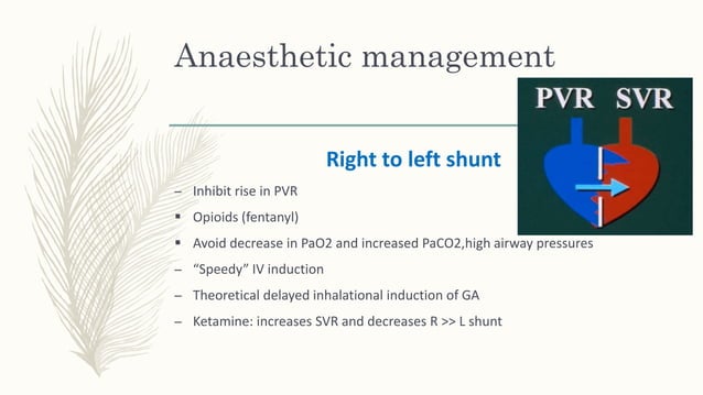 Anesthesia for Non cardiac Surgery in Adults with Congenital Heart ...