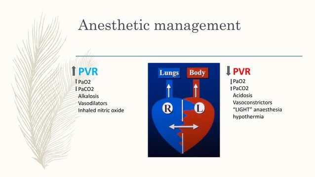 Anesthesia for Non cardiac Surgery in Adults with Congenital Heart ...