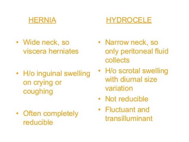 Congenital hernia and hydrocele
