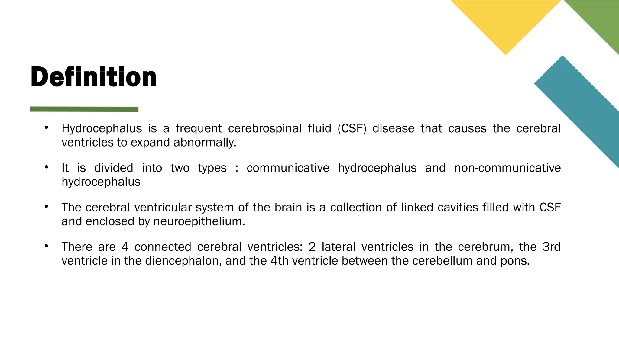 Congenital Hydrocephalus: A review of Pathophysiology, Risk Factors ...