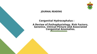 Congenital Hydrocephalus: A review of Pathophysiology, Risk Factors ...