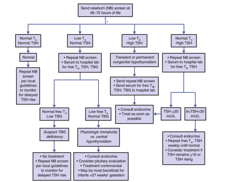 Congenital Hypothyroidism