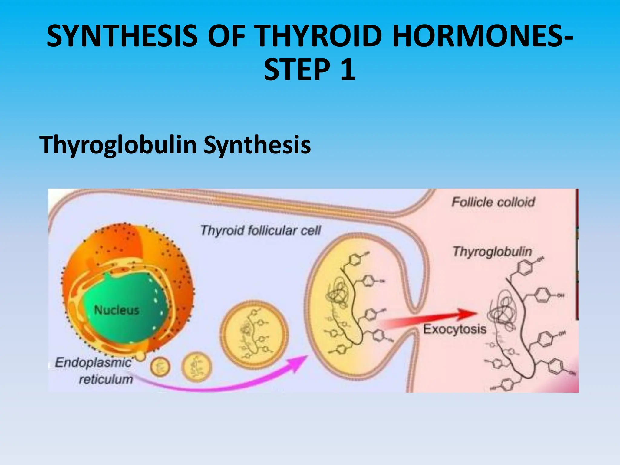 CONGENITAL HYPOTHYROIDISM in Clinical Practice .pdf