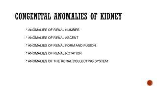 Congenital Kidney Anomalies * ANOMALIES OF RENAL NUMBER * ANOMALIES OF ...
