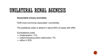 Congenital Kidney Anomalies * ANOMALIES OF RENAL NUMBER * ANOMALIES OF ...