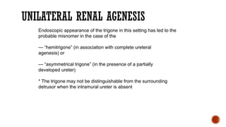Congenital Kidney Anomalies * ANOMALIES OF RENAL NUMBER * ANOMALIES OF ...