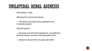 Congenital Kidney Anomalies * ANOMALIES OF RENAL NUMBER * ANOMALIES OF ...