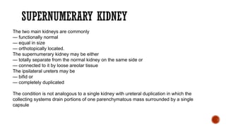 Congenital Kidney Anomalies * ANOMALIES OF RENAL NUMBER * ANOMALIES OF ...