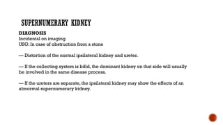 Congenital Kidney Anomalies * ANOMALIES OF RENAL NUMBER * ANOMALIES OF ...