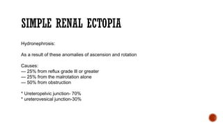 Congenital Kidney Anomalies * ANOMALIES OF RENAL NUMBER * ANOMALIES OF ...