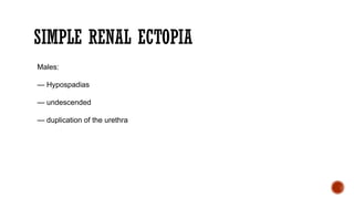 Congenital Kidney Anomalies * ANOMALIES OF RENAL NUMBER * ANOMALIES OF ...