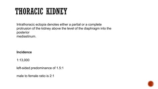 Congenital Kidney Anomalies * ANOMALIES OF RENAL NUMBER * ANOMALIES OF ...