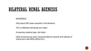 Congenital Kidney Anomalies * ANOMALIES OF RENAL NUMBER * ANOMALIES OF ...