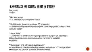 Congenital Kidney Anomalies * ANOMALIES OF RENAL NUMBER * ANOMALIES OF ...