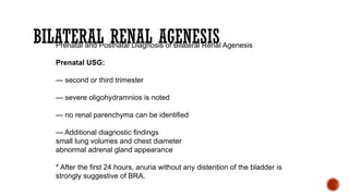 Congenital Kidney Anomalies * ANOMALIES OF RENAL NUMBER * ANOMALIES OF ...