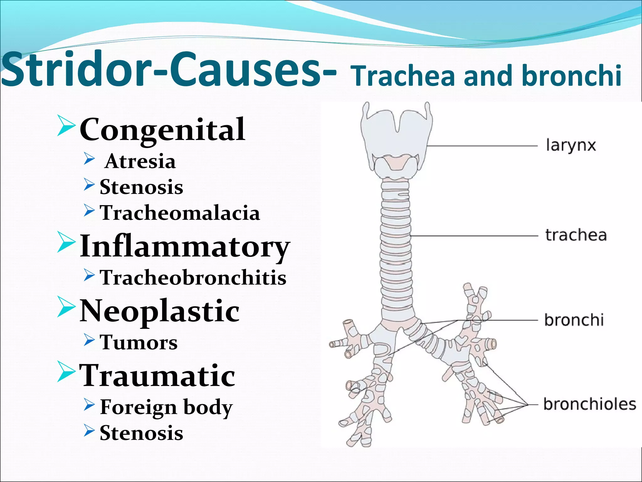 Congenital lesions of larynx and Stridor in Neonates | PPT