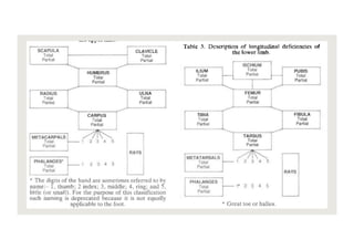 Congenital Limb deficiencies. Physiotherapy for pediatrics.pdf