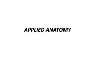 Congenital malformation of external ear and it’s management | PPTX