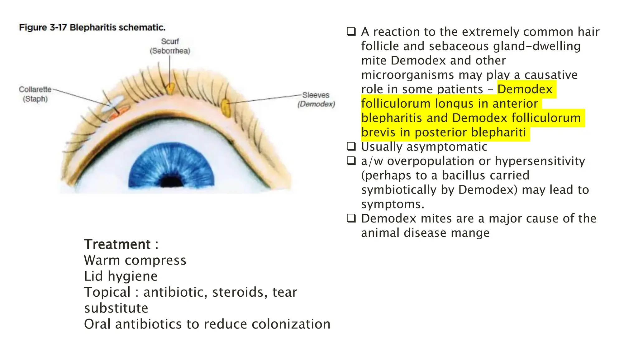 CONGENITAL MALFORMATIONS OF EYELIDS.pptx