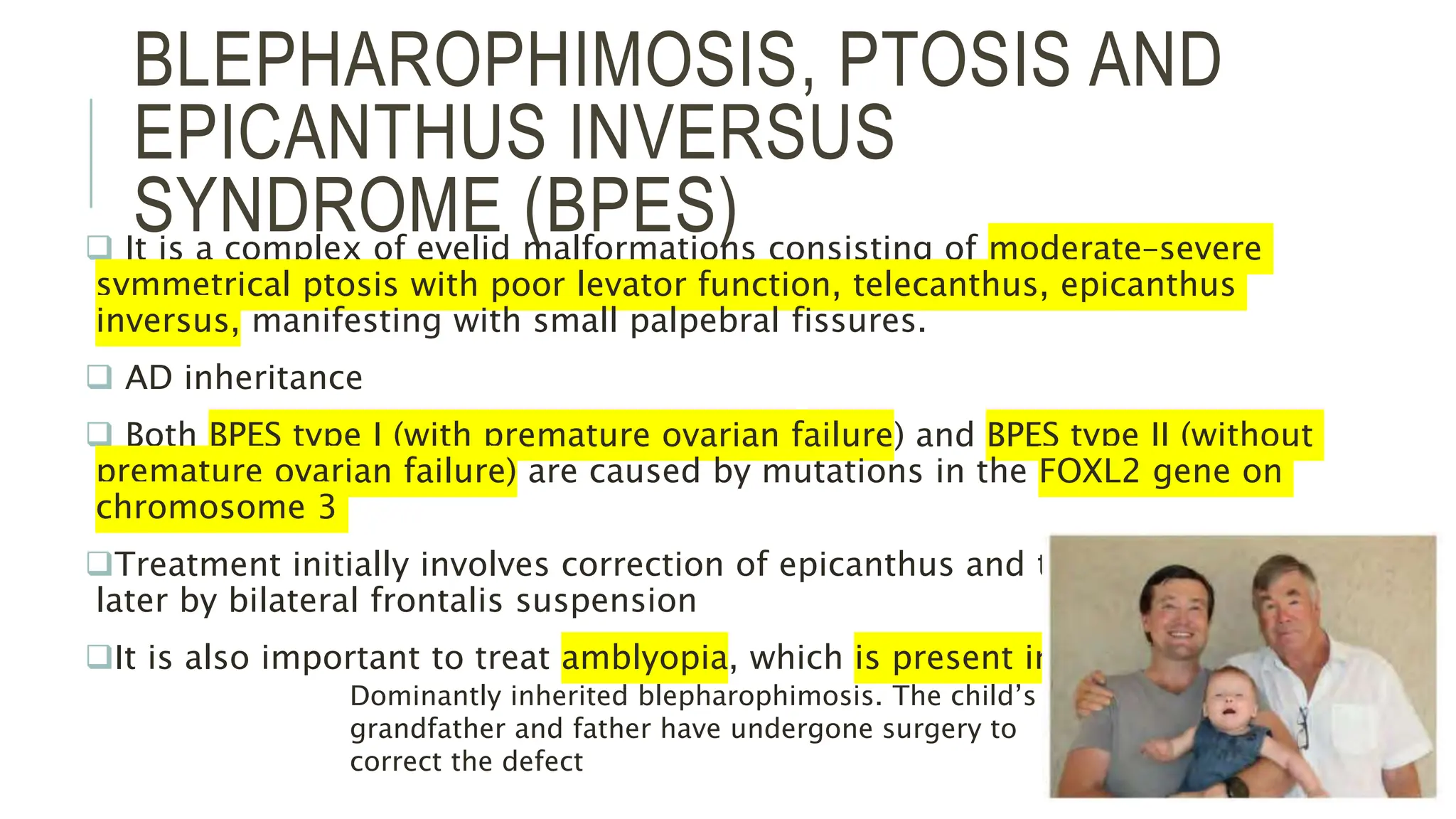 CONGENITAL MALFORMATIONS OF EYELIDS.pptx | Ear, Nose and Throat ...