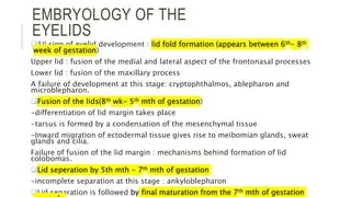 CONGENITAL MALFORMATIONS OF EYELIDS.pptx | Ear, Nose and Throat ...