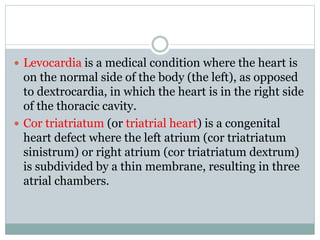 Congenital malformation of the circulatory system | PPT
