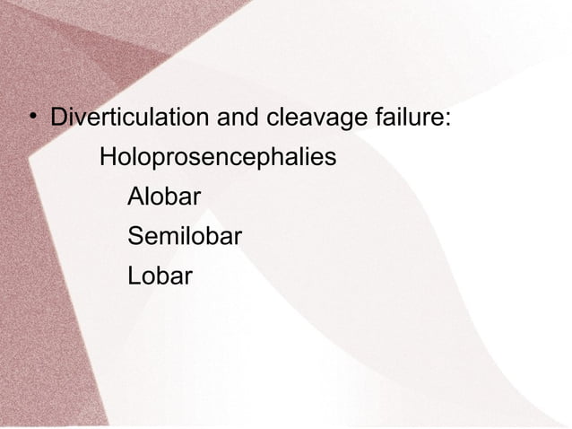Congenital malformations of brain | PPT | Brain and Nervous System ...
