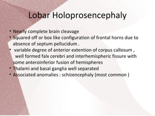 Congenital malformations of brain | PPT