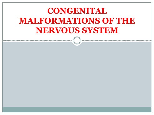 Congenital Malformations Of The Nervous System