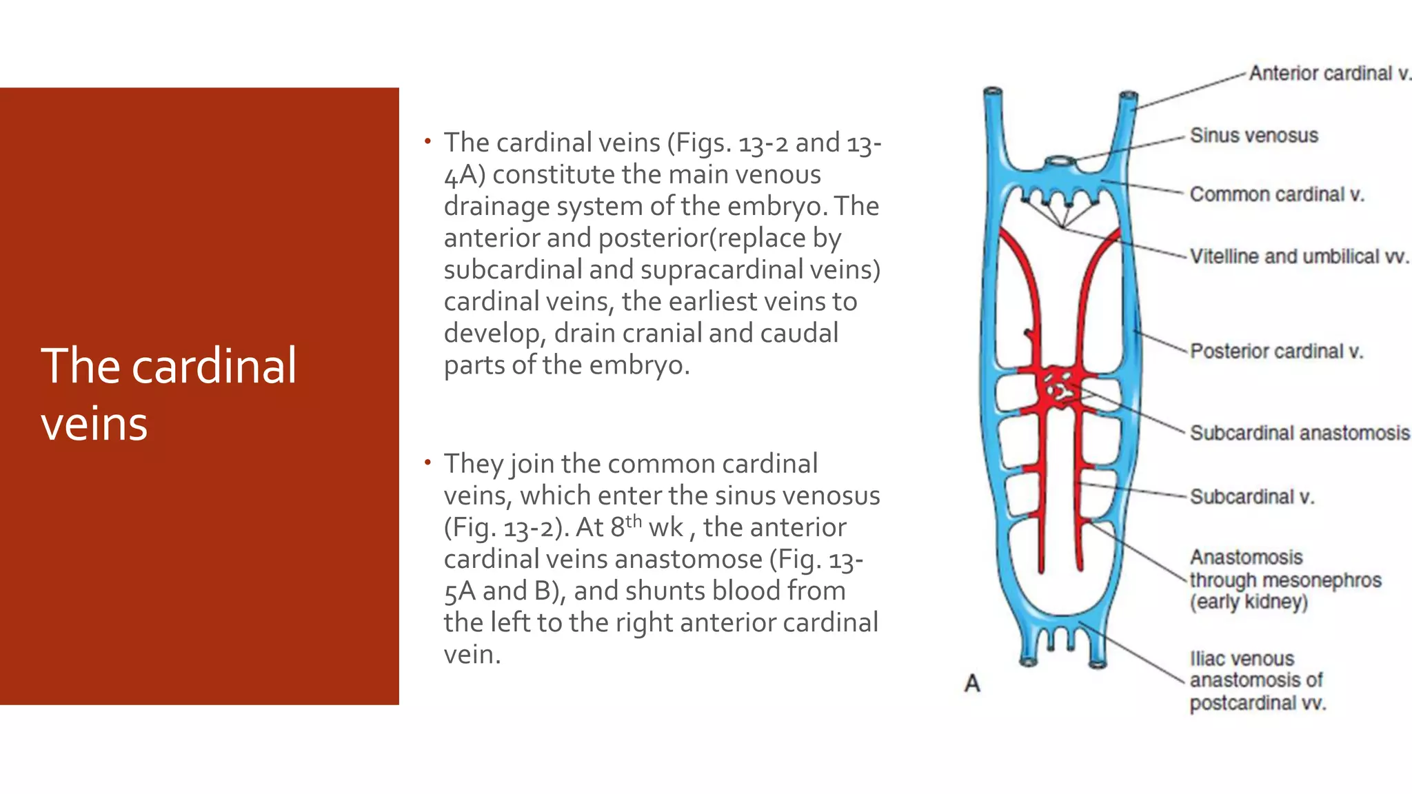 Congenital malformation the the heart | PPTX