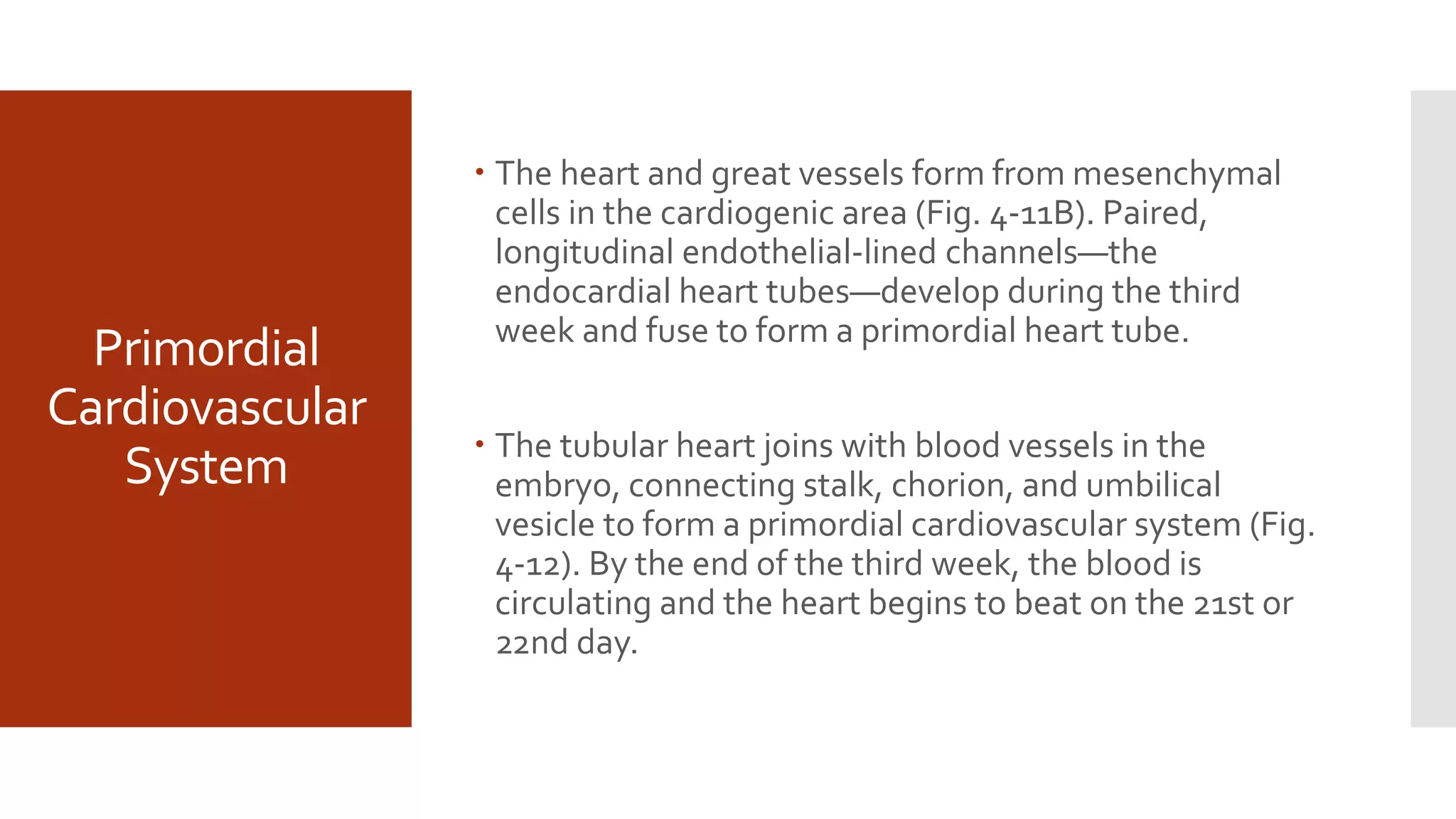 Congenital malformation the the heart | PPTX