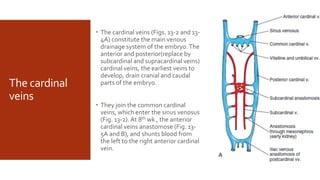 Congenital malformation the the heart | PPTX