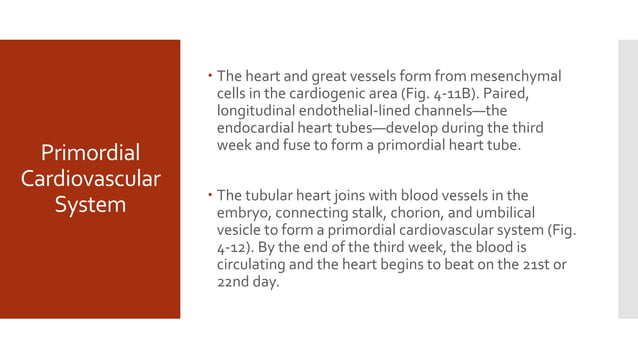 Congenital malformation the the heart | PPTX | Heart and Cardiovascular ...