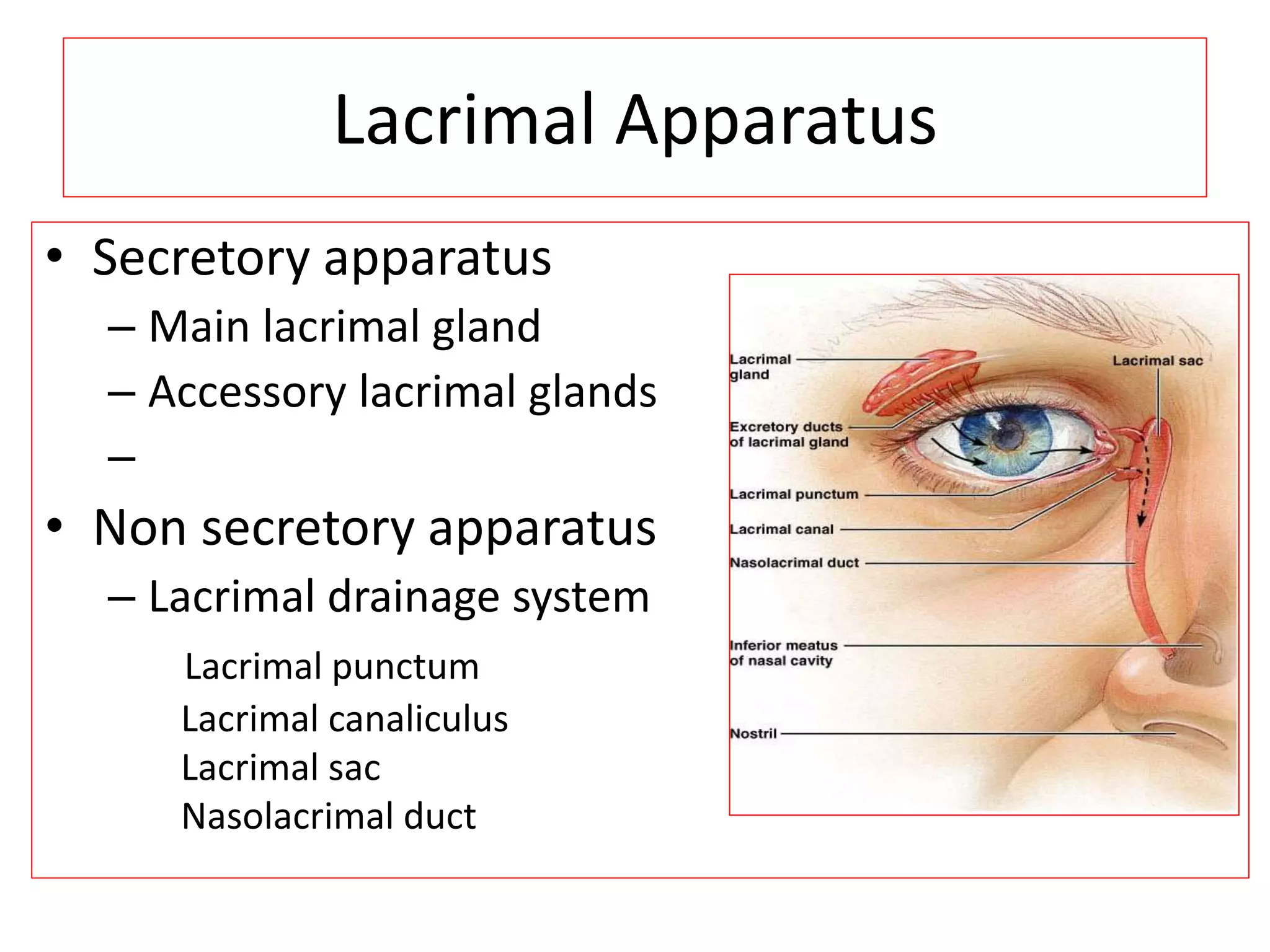 Congenital nasolacrimal duct obstruction | PPTX