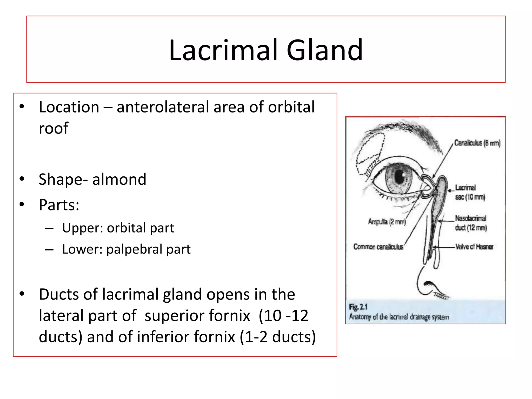 Congenital Nasolacrimal Duct Obstruction Ppt