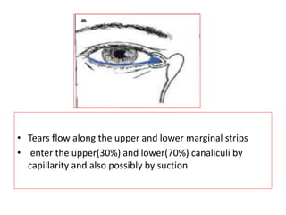 Congenital nasolacrimal duct obstruction | PPTX