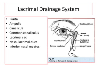 Congenital nasolacrimal duct obstruction | PPTX