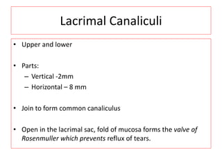 Congenital nasolacrimal duct obstruction | PPTX