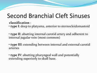 Congenital Sinuses of The Neck and its Etiology | PPTX