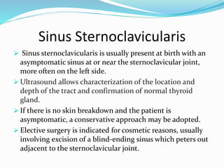 Congenital Sinuses of The Neck and its Etiology | PPTX