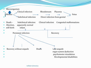 Congenital Neonatal infections.pptx