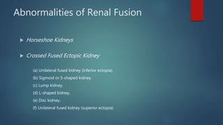 Congenital renal anomalies | PPTX